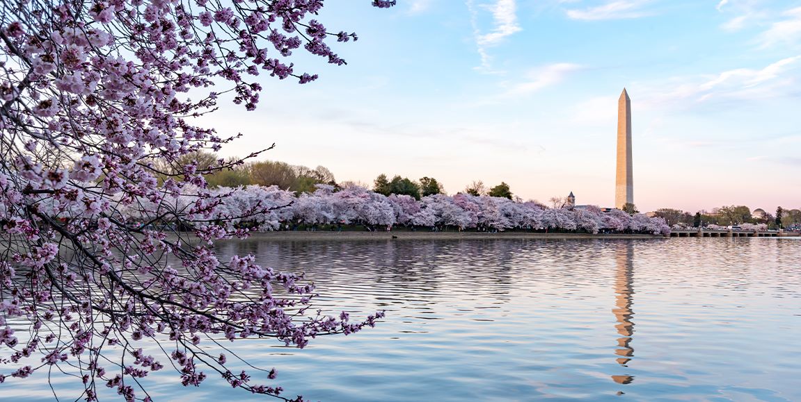 Washington DC Hotel - Morrison-Clark Historic Inn & Restaurant